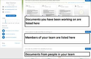 What is Microsoft Delve in Office 365?
